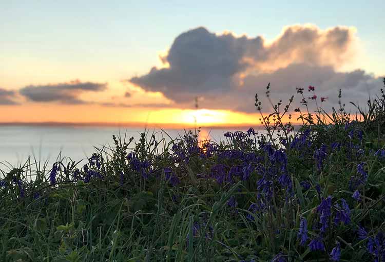 Cornwall Climate: A Complete Guide - Cornwall Explorer